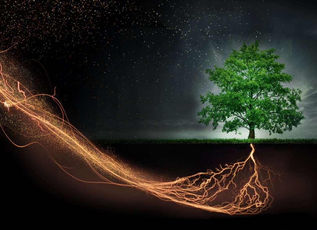 biotech tree - Pellets 2 Heat